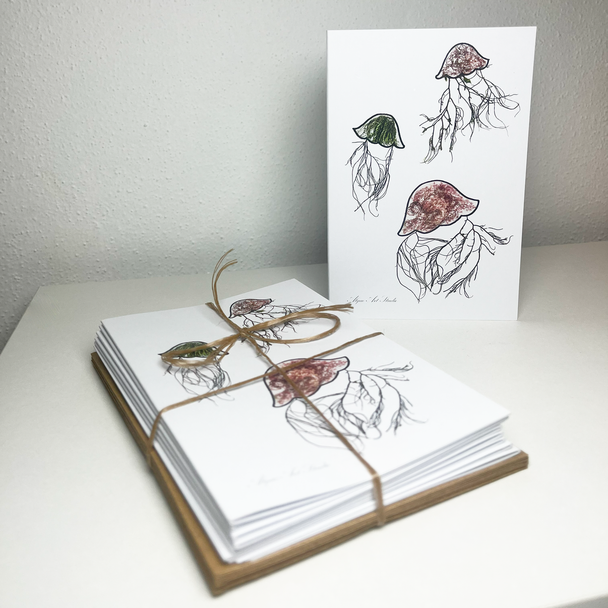 Jellyfish Greeting Cards – Algae Art Studio