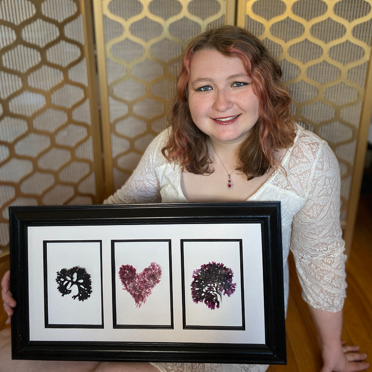 About – Algae Art Studio